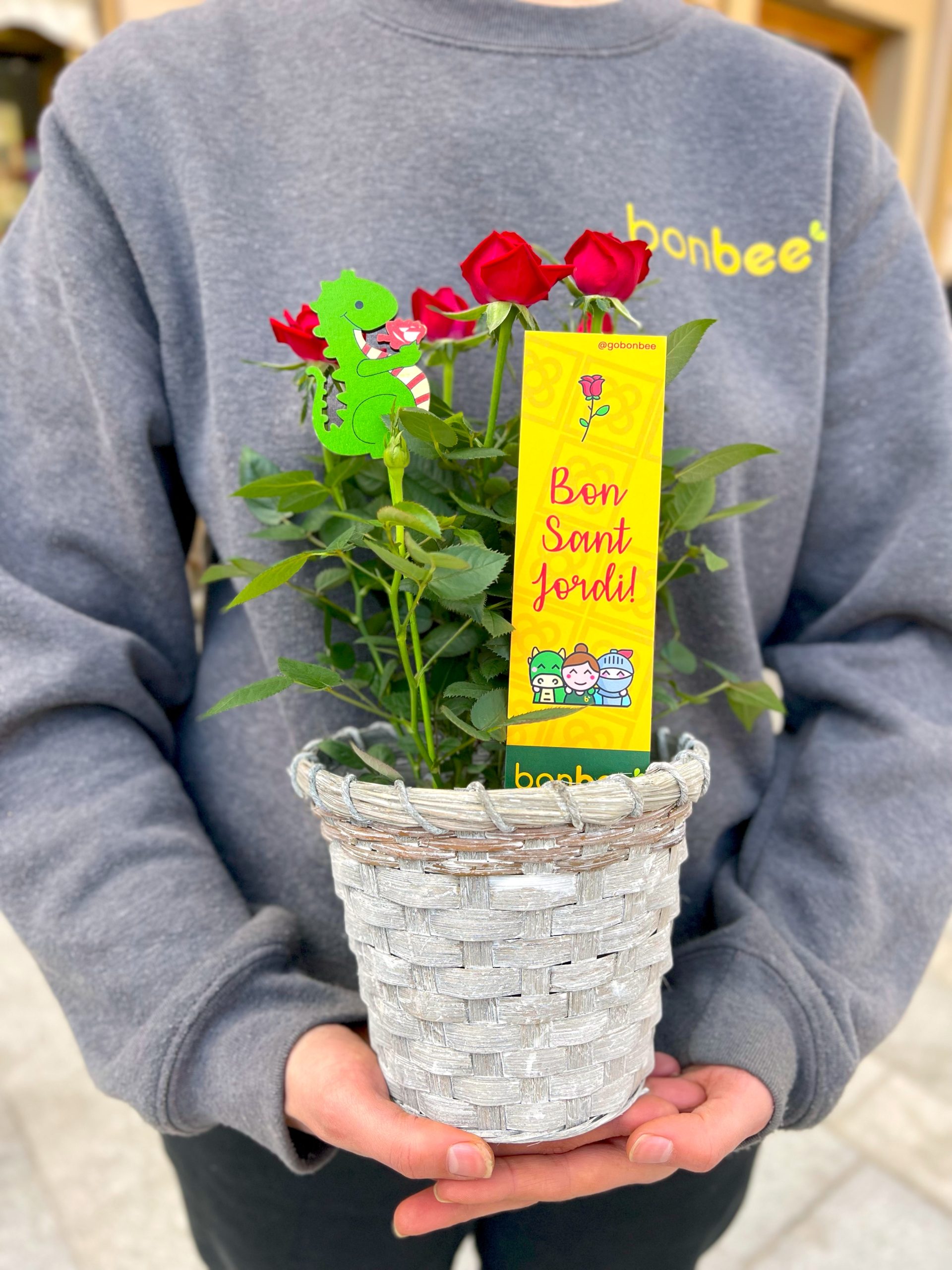 El Roser de Sant Jordi • BonBee