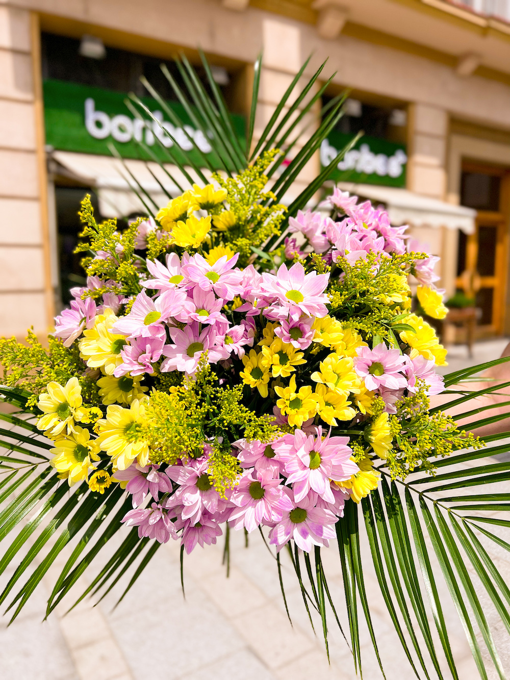 Enviar margaritas a Barcelona • BonBee